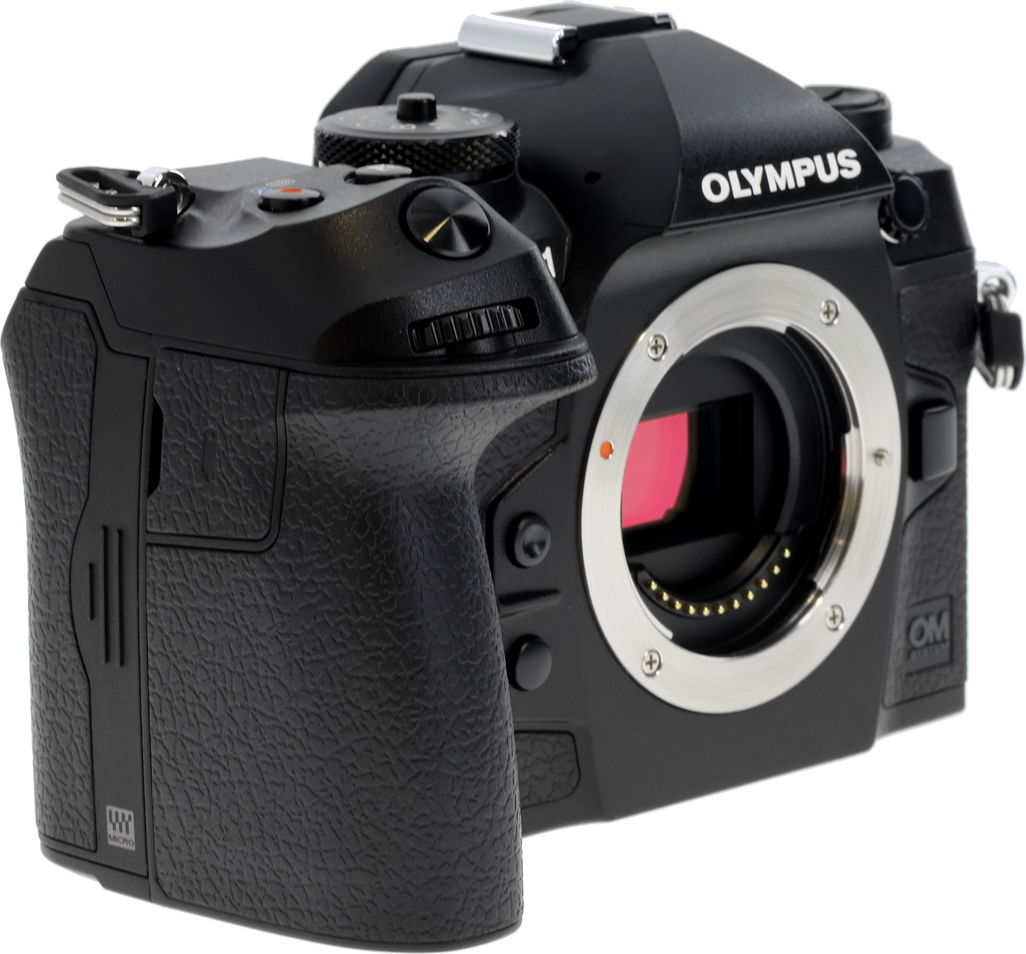 Olympus OM-1 Mirrorless Camera — Specs, Reviews, Used Prices | GearFocus